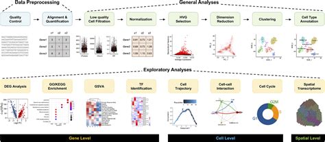 单细胞rna测序（scrna Seq）工作流程入门 Csdn博客