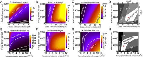 Plots Of Observables Obtained From The Computational Model Using The