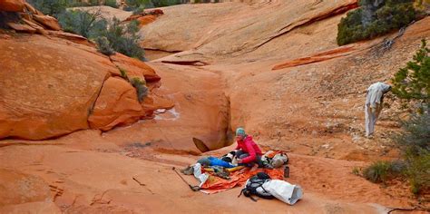 Pictures Of Amy Mccarthy