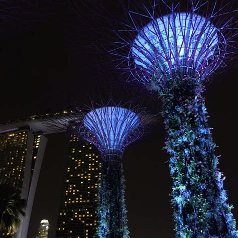 싱가포르 Day2 ③ 머라이언파크 마리나베이샌즈 레이저쇼 가든스바이더베이 슈퍼트리쇼 싱가포르 야경 네이버 블로그
