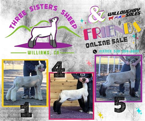 Willoughby Rebels Of The Ring Link Auction