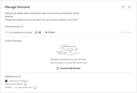 Fix Issues With Connecting A Custom Domain To Elementor Host Elementor