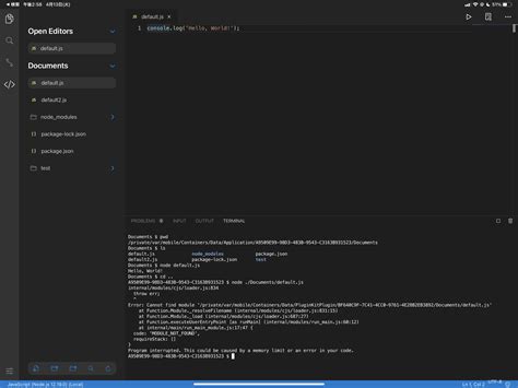 IPad Bugs Report Issue Thebaselab Codeapp GitHub