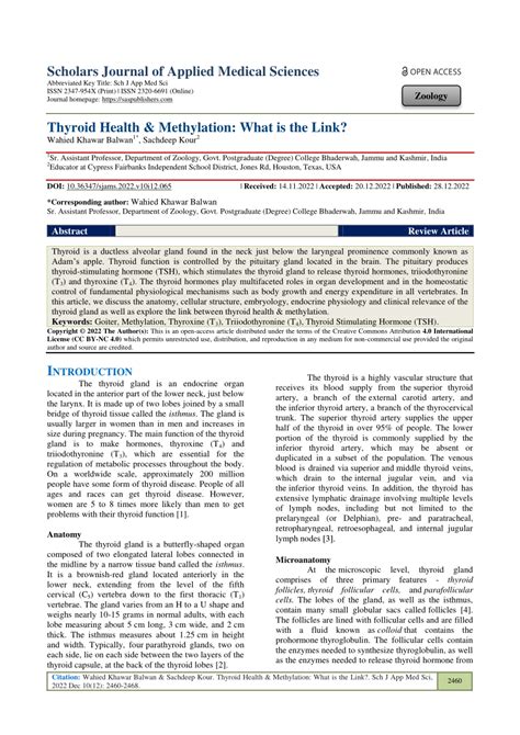 Pdf Thyroid Health And Methylation What Is The Link