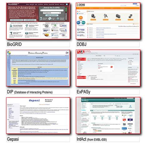 The Best Protein Interaction Databases
