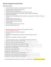 Integumentary System Review Key Docx Anatomy Integumentary System Review Students Will Be