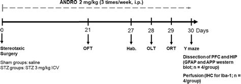 Experimental Design Oft Open Field Test Hab Habituation Olt