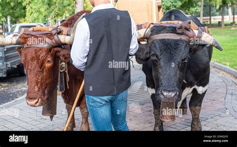 Party In Madrid Fotos Und Bildmaterial In Hoher Auflösung Alamy