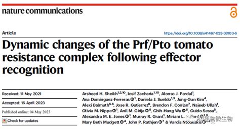 Nature Communications 研究揭示效应蛋白识别后番茄抗性复合物的动态变化！ 知乎