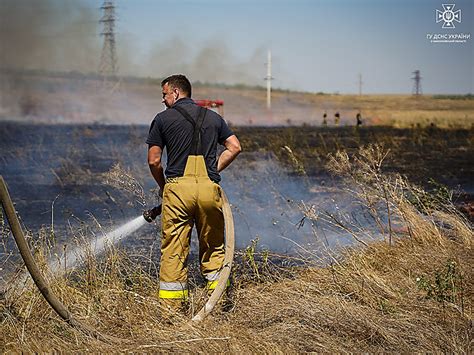 В пригороде Николаева спасатели тушат масштабный пожар сухостоя