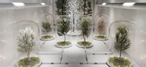 Geometry Nodes Based Interactive Tree Growing With Easy Tree Generator BlenderNation