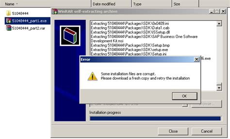 Sap B1 91 Unable To Extract Files Sap Community