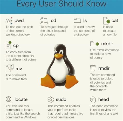 Abdullah Mia On Linkedin Linux Ubuntu Programming Programmer