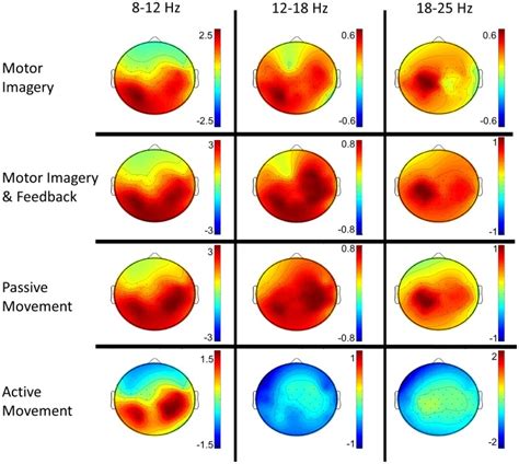 Eeg Frequency Domain Power Topoplots For Each Motor Task Averaged Over
