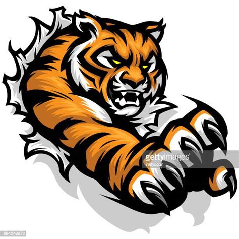 Solve A Quadratic By Factoring Quadratic Formula And Graph 9th Grade