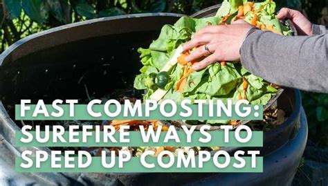Fast Composting 8 Tips To Speed Up Compost