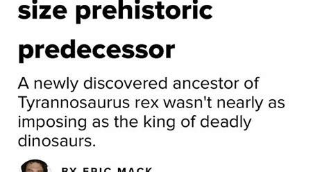 Alliteration Perfection Album On Imgur