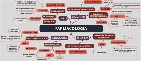Mapa Mental Farmacologia Sistema Locomotor Farmacologia Veterin Ria I