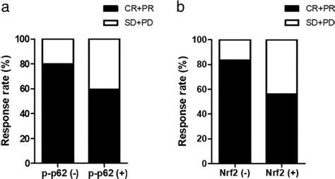 The Relationship Between P‐p62 Or Nuclear Nrf2 Expression And Clinical