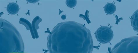 Cell Line Development Workflow Recombinant Proteins Molecular Devices