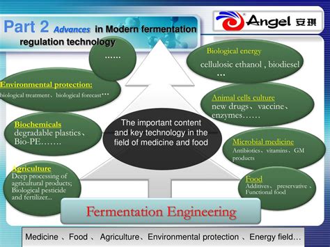 Ppt Yeast Extract For Fermentation Powerpoint Presentation Free