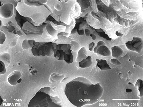 Sem Micrographs Of A And A Biochar And B And B Biochar Sdbs With