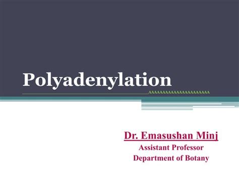 Polyadenylation Pptx Genetics Science
