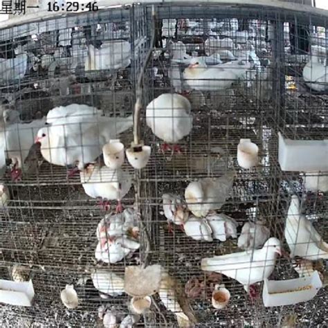 Cspdarknet Module Structure Drawing Download Scientific Diagram