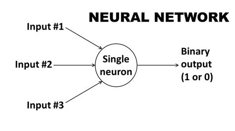 Explore Perceptrons A Simple Type Of Neural Network Science Project