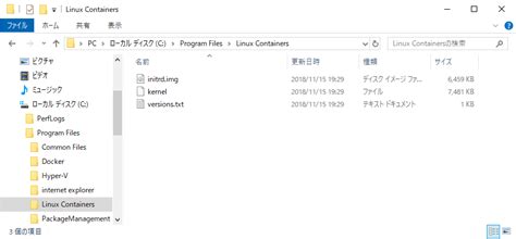 Windows Server Docker インストール Ps Work