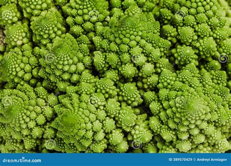 Romanesco Broccoli Close Up The Fractal Vegetable Is Known For It`s