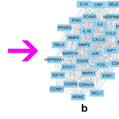 Ppi Network Module Analysis And Hub Gene Identification Download