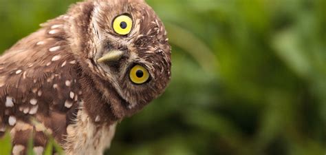 Active Or Passive Seeking Solutions To Esg Confusion Ab