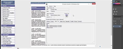 Problem About C Project And Hidden Text Tab Autoit General Help And Support Autoit Forums