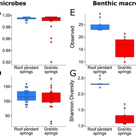Benthic Macroinvertebrate Bmi Diversity But Not Microbial Diversity
