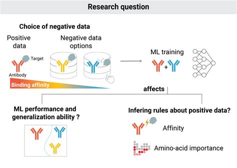 Aygul Minnegalieva On Linkedin Curious About The Impact Of Negative