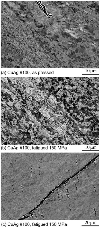 Sem Ecci Images Showing The Microstructure Of The 100 Dilute Cu 0 07 Download Scientific