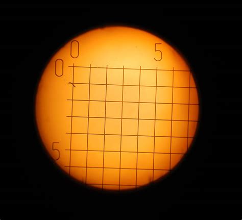 Microscope Grid Slide At Norma Cuellar Blog