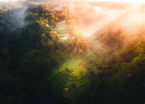 Ceking Rice Terrace In Bali The Ultimate Guide 2026 Chris And