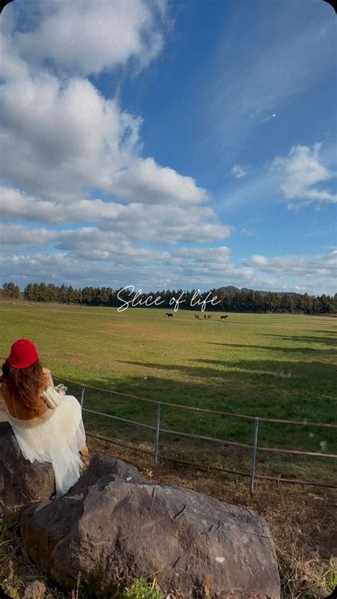 슈크림제주 Traveler 핫플 여행 🌿 제주속 작은 유럽을 만나다 상상도 못했던 제주의 숨은 보석 💫 푸른 초원에서 자유롭게 뛰노는 말들 동화같은 숲길과