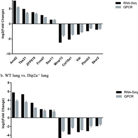Validation Of Rna Seq Results By Real Time Quantitative Pcr Qpcr