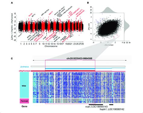 Selective Sweep Analysis For Dataset 1 A Genome Wide Distribution Download Scientific