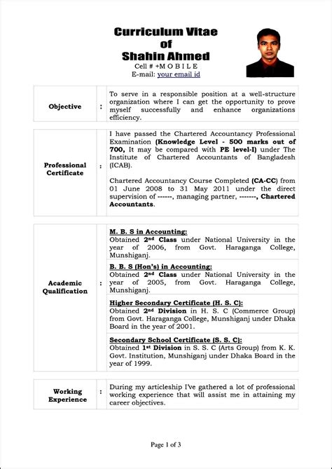 Curriculum Vitae Template Curriculum Vitae Template Mt Home Arts