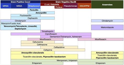 Image Result For Antibacterial Coverage Antibiotic Antibiotics