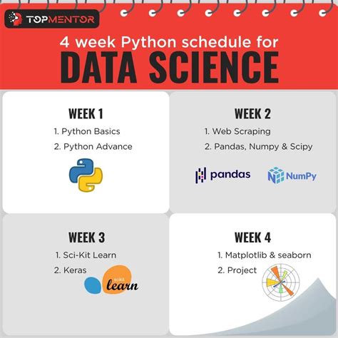 Top Mentor On Linkedin Datainsights Pythonfordatascience