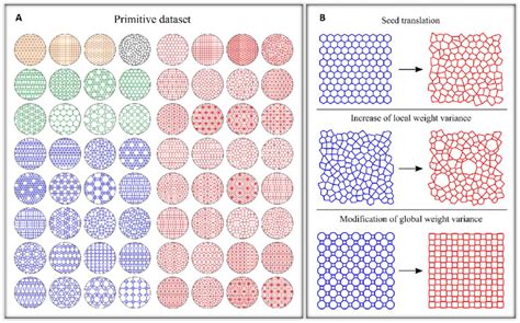 Primitive Dataset Of Cellular Topologies And Structure Modification