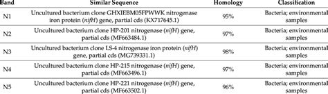 Similarity Sequence Analysis Of Nifh Gene N1 N24 From Dgge Download