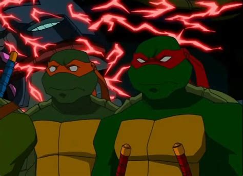 Tmnt 2003 Raph And Mikey 2 By Hedwieapotter On Deviantart