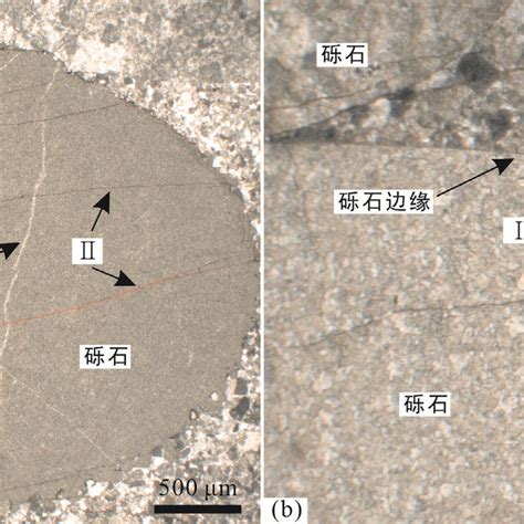 Crosscutting Relationship Of The Micro Fractures Download Scientific