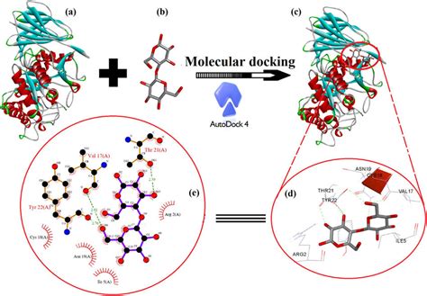 Molecular Docking Analysis Between A Human Acid Beta Glucosidase